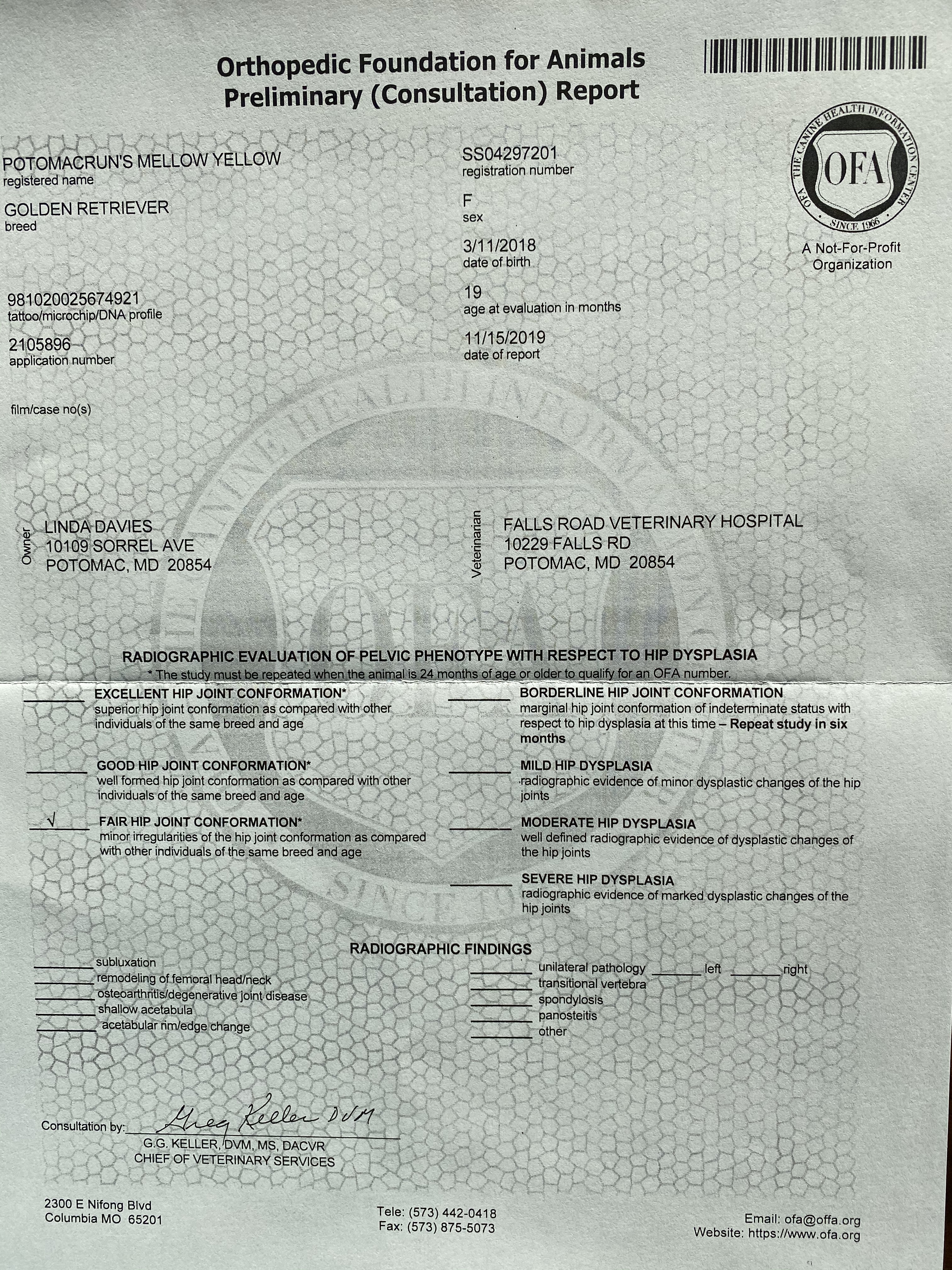 Home [www.potomacrun.org]